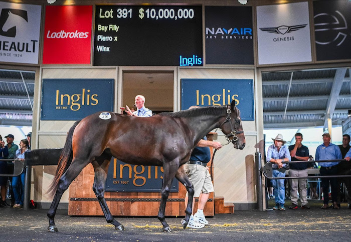 World Filly Record Underpins Huge Easter Finale « Breeding Racing