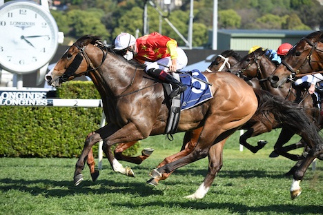 Track to Determine Snowden's Golden Eagle Aim « Breeding Racing