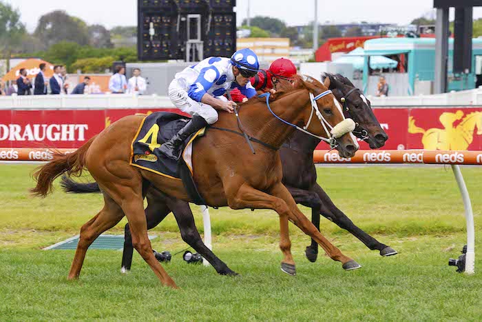 Third Stakes winner for The Autumn Sun « Breeding Racing