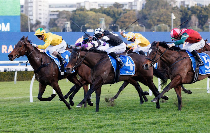 Ultra Rare Offering Autumn Ballet Joins Chairman’s « Breeding Racing