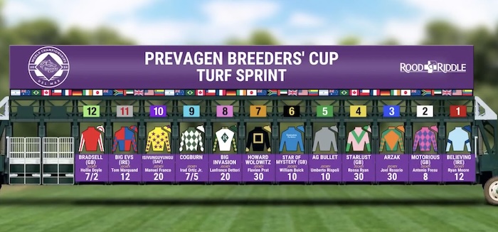 Eclipse Award Possible for 2025 Widden Sire « Breeding Racing