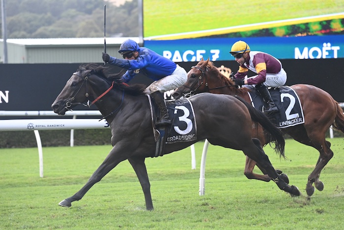 Cummings Eyes Big Spring for Broadsiding « Breeding Racing