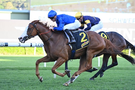 The Old Firm Fires Again for Godolphin « Breeding Racing