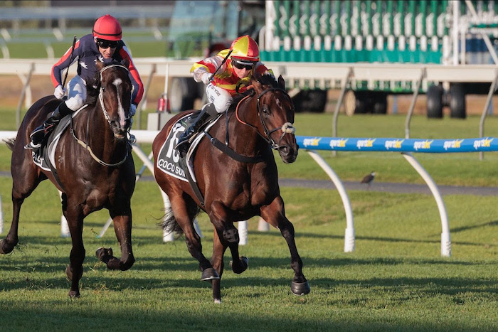 Group 1 Classic Threepeat for The Autumn Sun « Breeding Racing