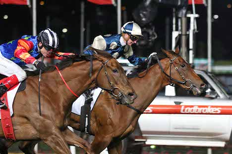 Magic at The Valley Led by Coolangatta « Breeding Racing