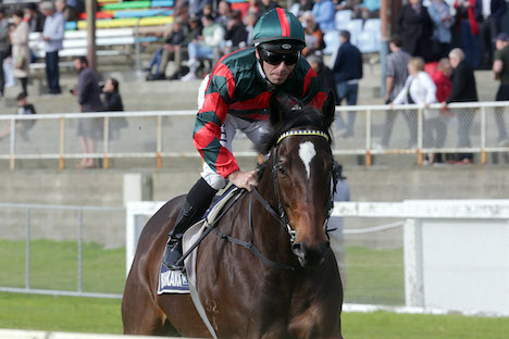Dragon Leap Prepares for Melbourne Stint « Breeding Racing
