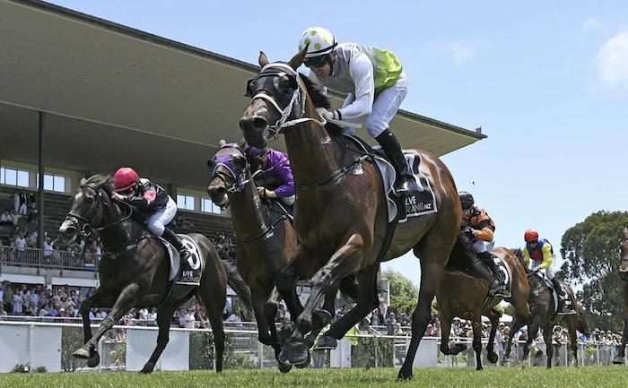 Group 1 Mare Express Yourself on Gavelhouse « Breeding Racing