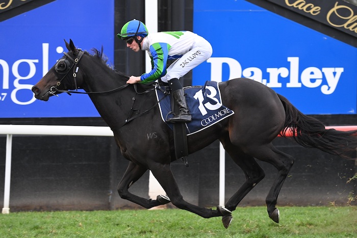 Zac Lloyd A Chip Off the Old Block « Breeding Racing
