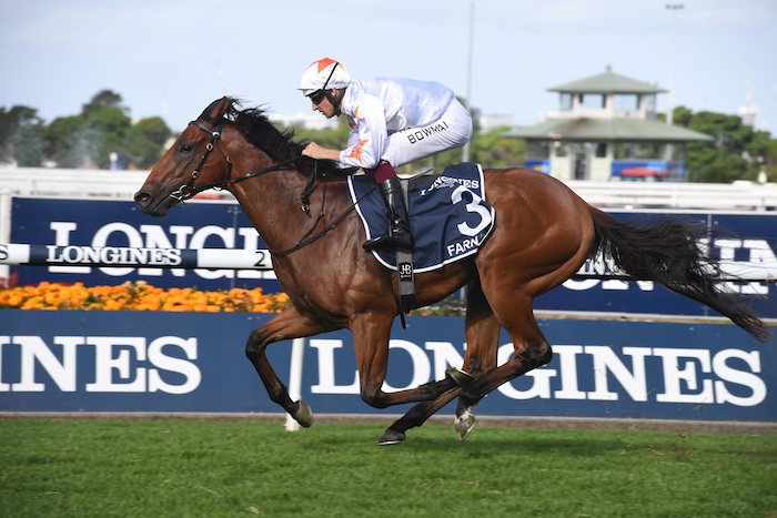 Farnan Pair Appear Threats on Debut « Breeding Racing