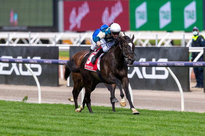 History Maker Hitotsu Joins the Arrowfield Stud Roster « Breeding Racing
