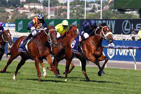 RV Announces Strong Turnover Growth « Breeding Racing