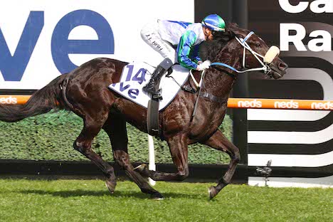 I Wish I Win Set for Manikato ahead of Everest « Breeding Racing