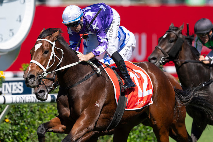 Katsumi Yoshida Buys Kiku for $1.46 million « Breeding Racing