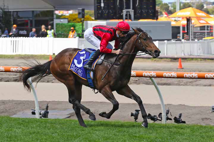 Newgate Farm Preview 2025 MMGC « Breeding Racing