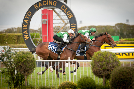 Revised Dates for NZB’s 2022 Breeze Ups « Breeding Racing