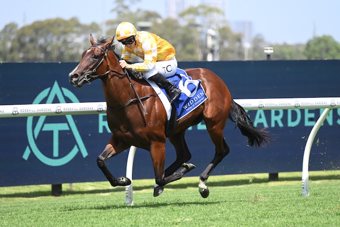 Adelaide Gearing up for HOTY Awards Function « Breeding Racing
