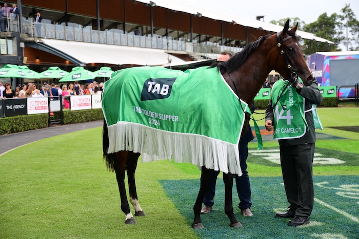 History Suggests Fillies and Mares for The Moir « Breeding Racing