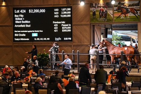 Inglis Easter Concludes with New Record KPIs « Breeding Racing