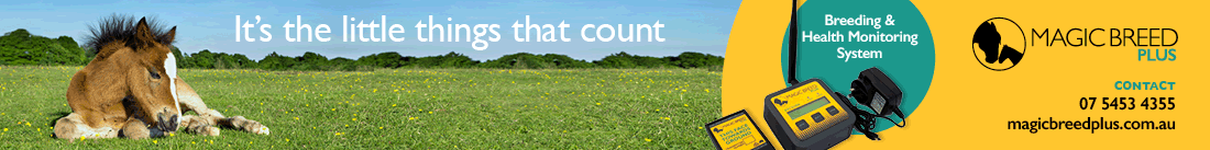 Entries Now Open for 2025 Inglis Weanling Sales « Breeding Racing