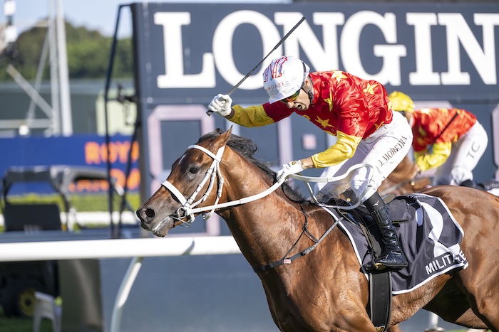 Military Precision Behind Waller 2YO Triple Crown « Breeding Racing