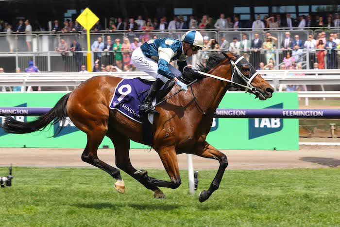 Muramasa Qualifies for 2024's Melbourne Cup « Breeding Racing