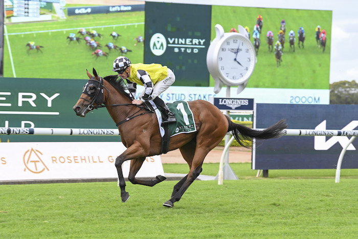 Prowess to Be Auctioned on Gavelhouse Plus « Breeding Racing