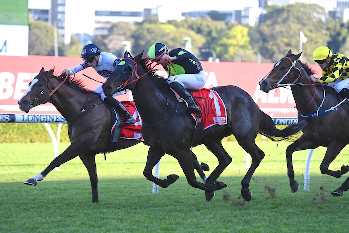 Private Eye a Big Watch in Stradbroke « Breeding Racing