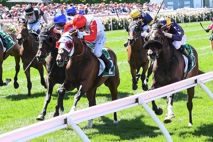 Red Aces Emerges as Top Vic Derby Contender « Breeding Racing