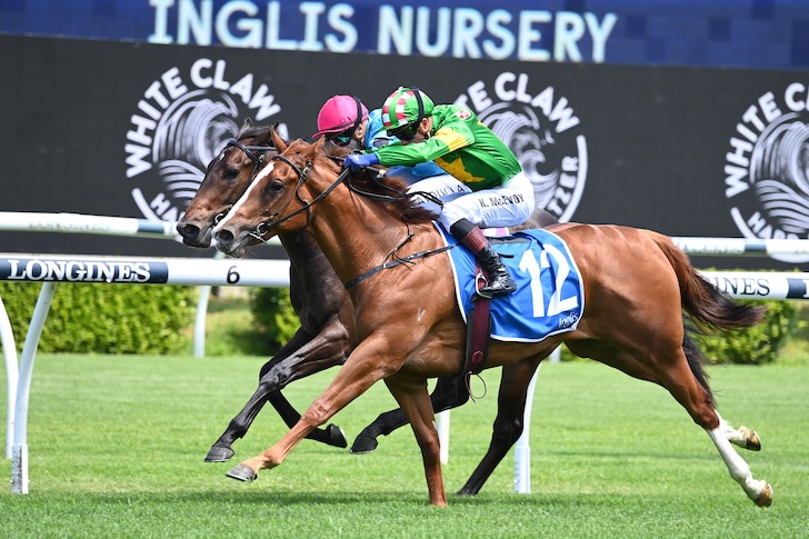 Distance Rise to Suit Star Turn's Consistent Saltaire « Breeding Racing