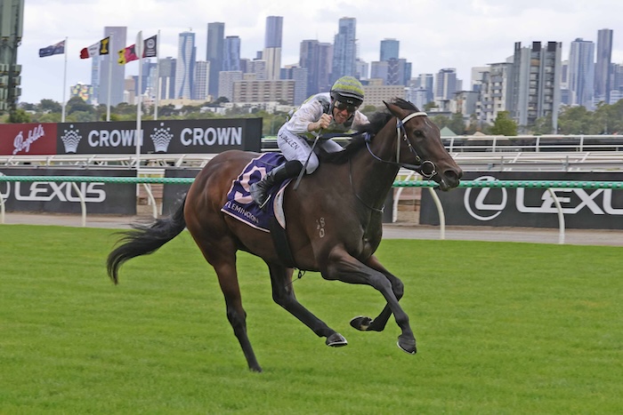 Skybird Gives HP A Day They'll Never Forget « Breeding Racing