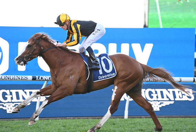 2024 Freshman Profile: SWEET RIDE (Widden Stud) « Breeding Racing