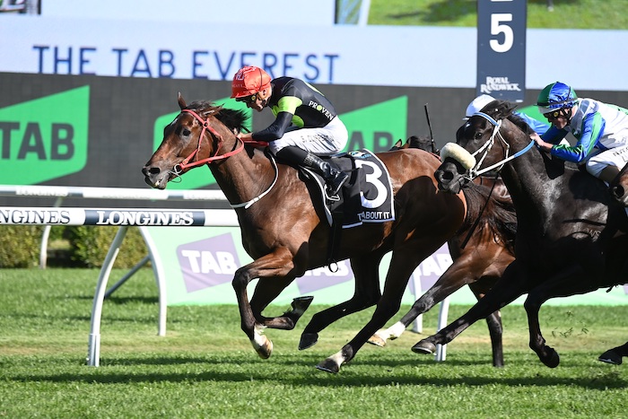 Think About It Retires after Miraculous Survival « Breeding Racing