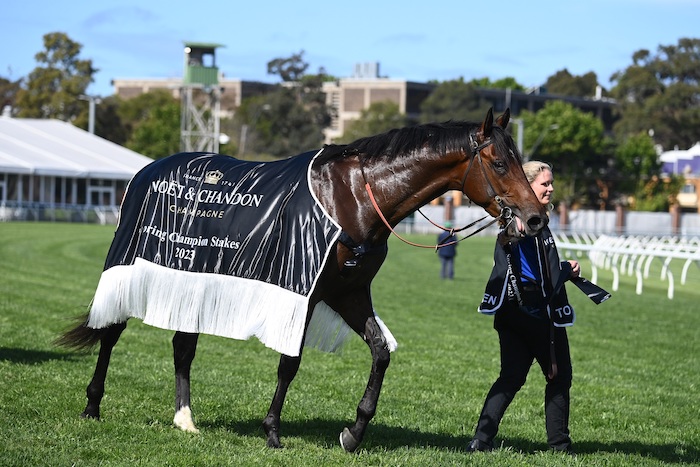 Star 3YO Tom Kitten to Miss Victoria Derby « Breeding Racing