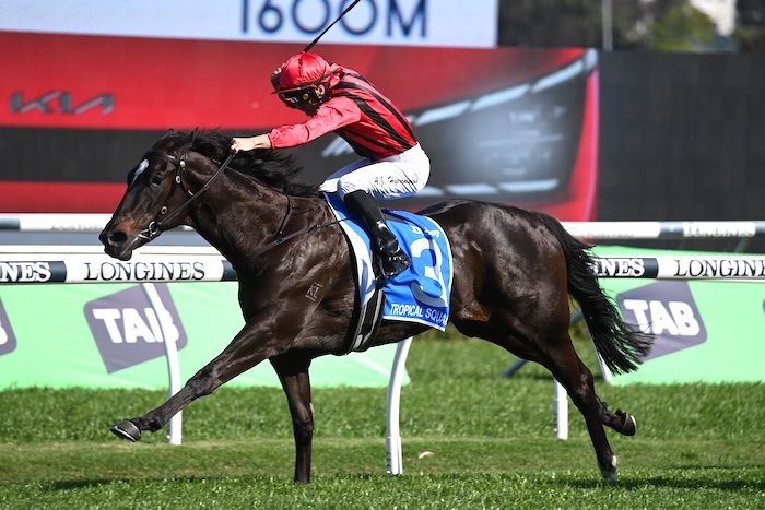 Darley Sire Chief Excited for Princess Series « Breeding Racing