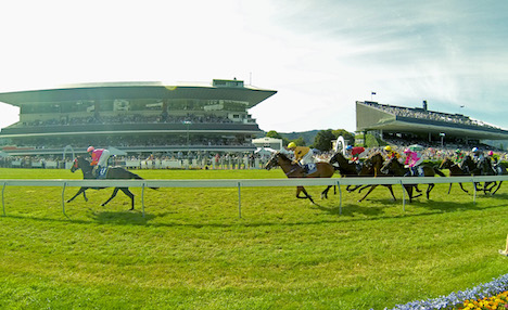 Development to Safeguard Trentham Future « Breeding Racing