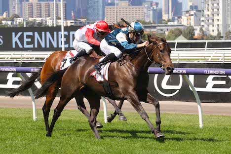 Yonce Could Become the Autumn Queen « Breeding Racing