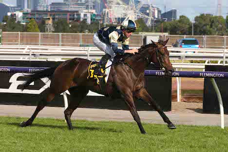 Exciting Yonce Now Five for Five « Breeding Racing