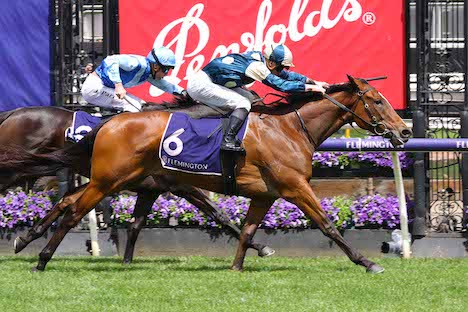Zennzella a Chance to Repeat History « Breeding Racing
