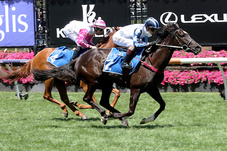 Foxy Frida Gets Another Season with Gr1 Goals « Breeding Racing